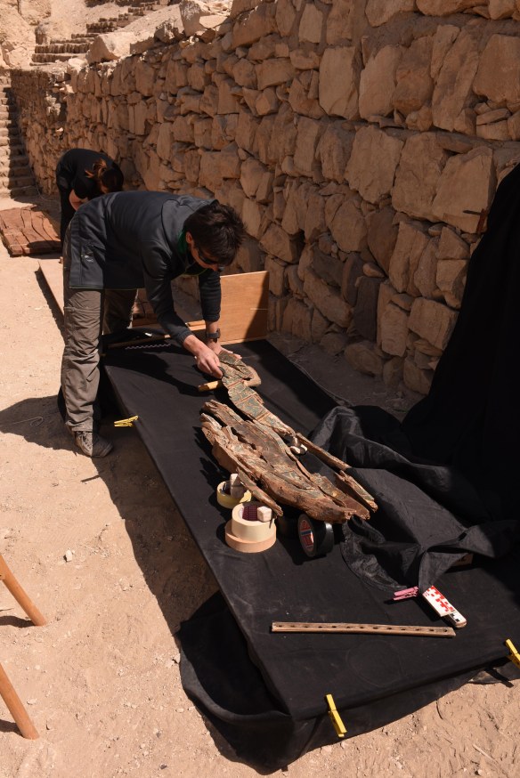 The 2019 season in retrospect | The Ankh-Hor Project